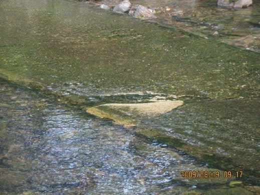 Viafix Pothole Filler | Britesite NZ